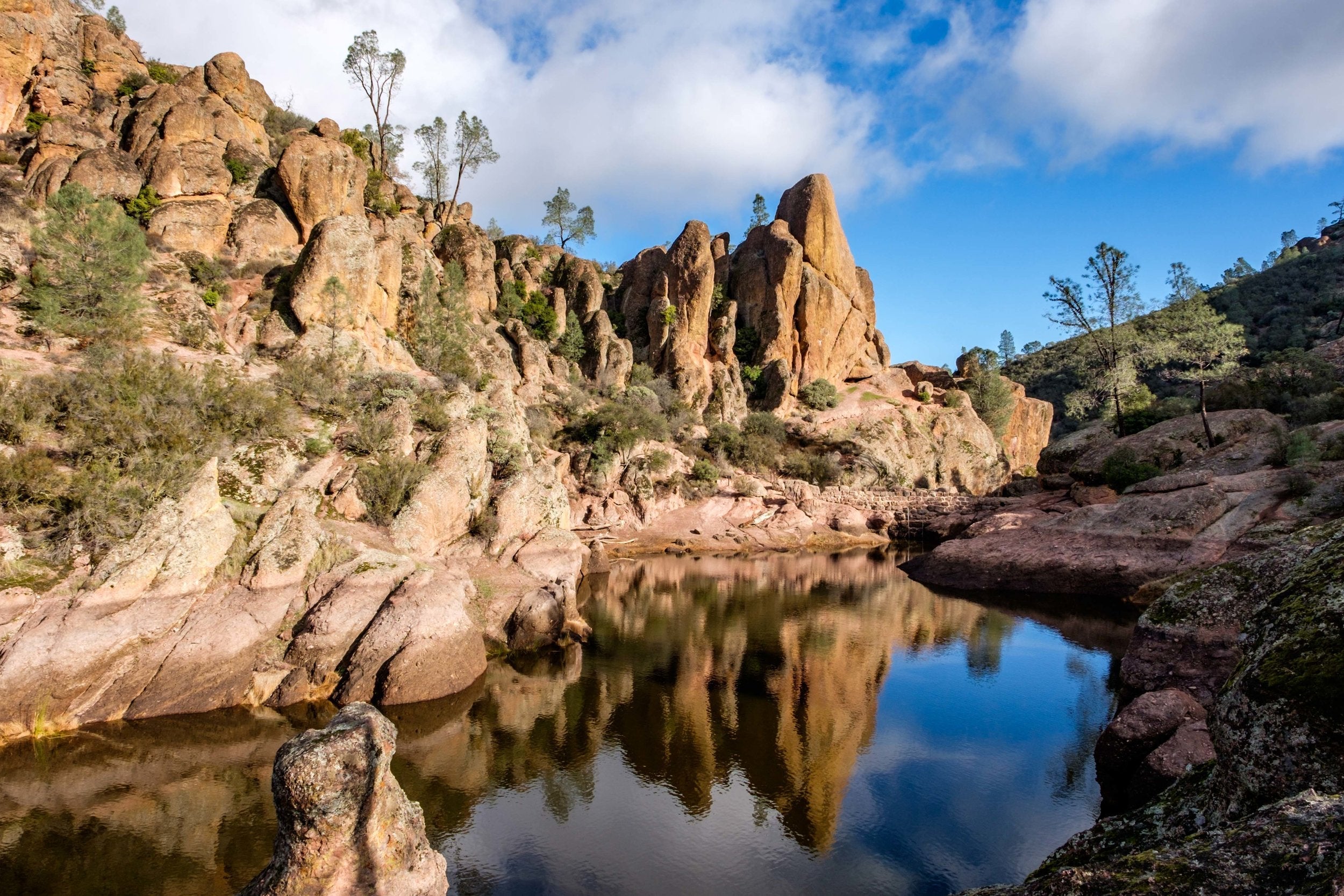 Discover How to Spend One Day at Pinnacles National Park – The Landmark ...