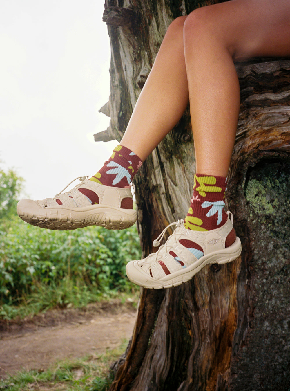 Naturally Soft & Sustainable: Organic Cotton Socks – The Landmark Project