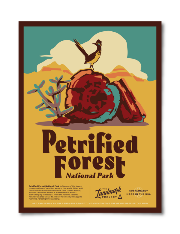 Petrified Forest National Park Logo A Day At Petrified Forest National