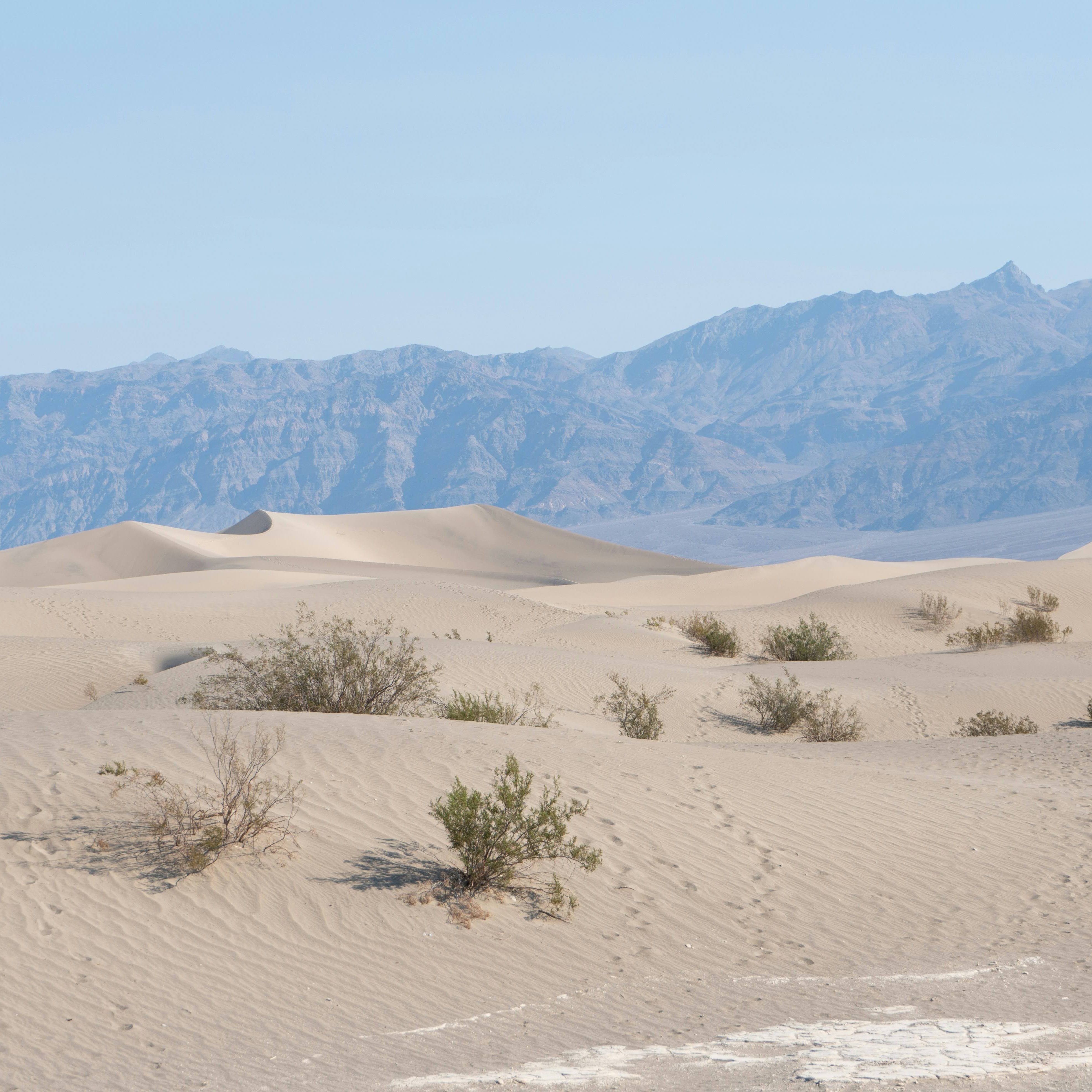 How to Spend One Day in Death Valley in the Winter Time – The Landmark ...