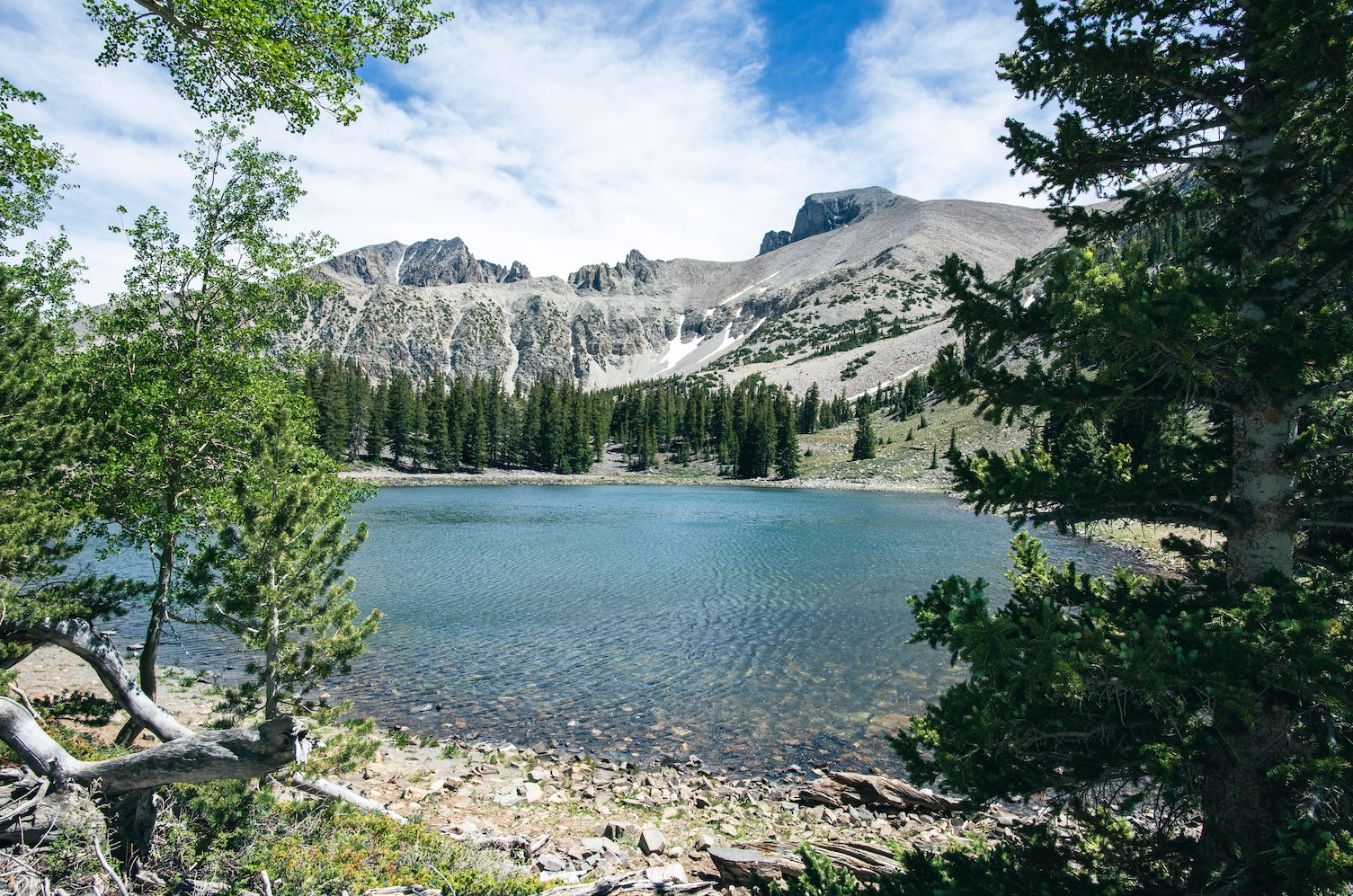 Discover the Best Way to Explore Great Basin in a Day – The Landmark ...