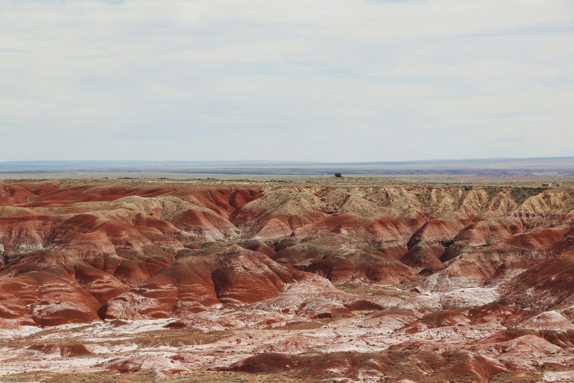 How to Spend a Day at Petrified Forest National Park – The Landmark Project