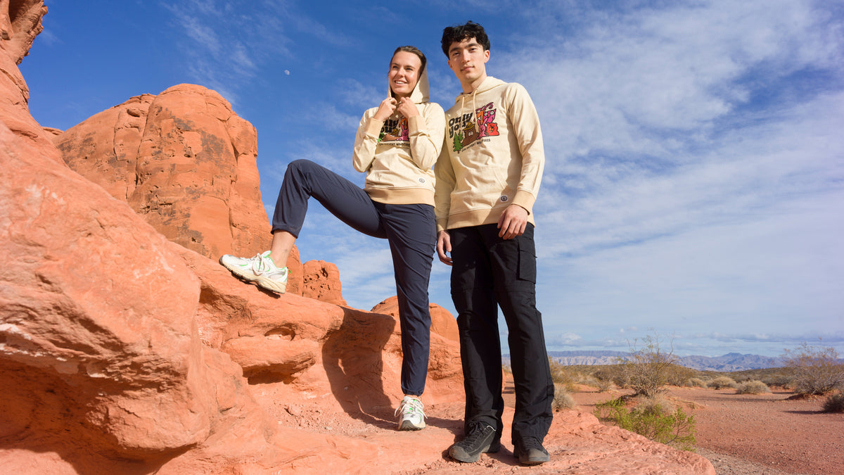 National Park Tees, Posters, & Gifts From The Landmark Project