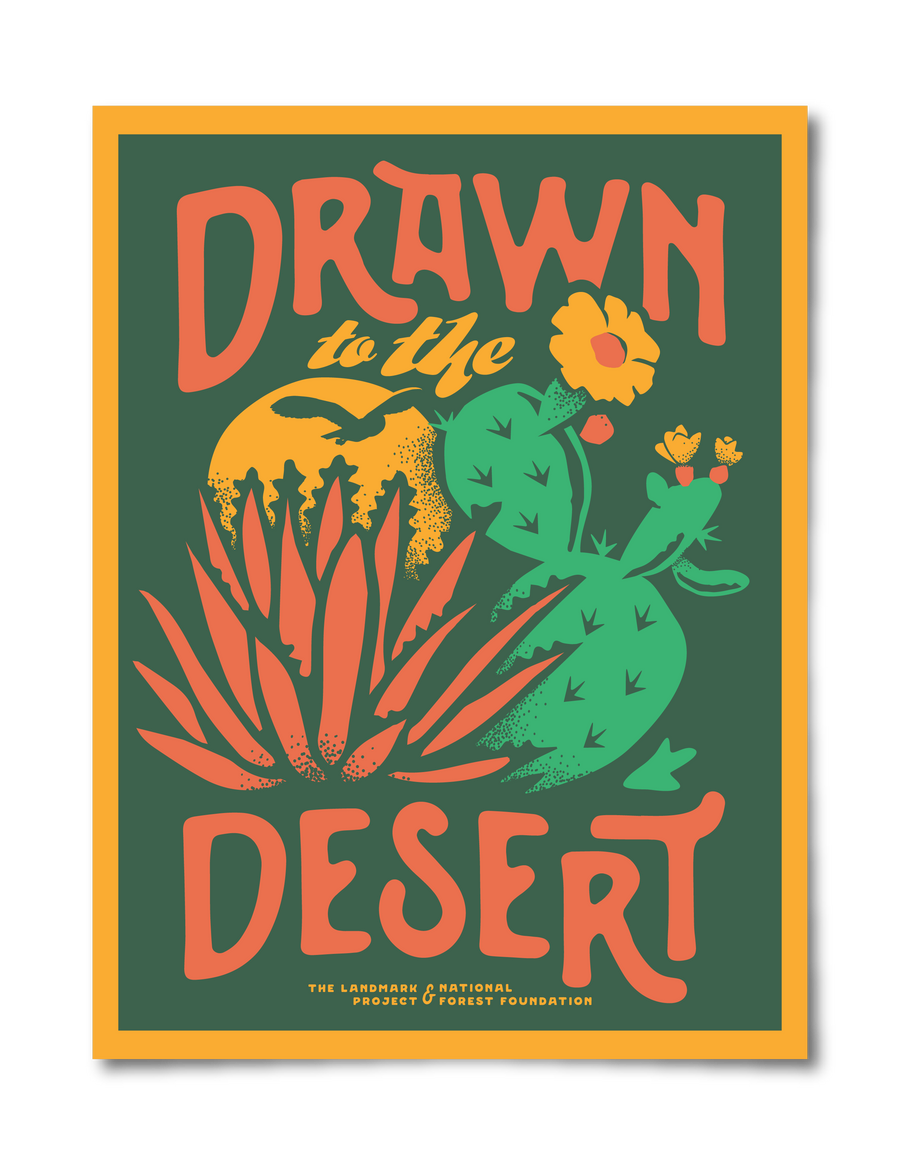 National Forest Foundation | Collaborative Collection – The Landmark ...