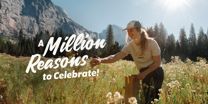 National Park Tees, Posters, & Gifts From The Landmark Project