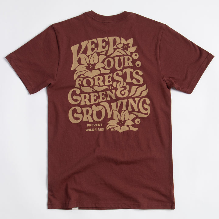 Sustainable Style: Graphic Tees & Character Classics – The Landmark Project