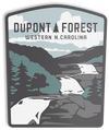 Dupont State Forest Sticker – The Landmark Project