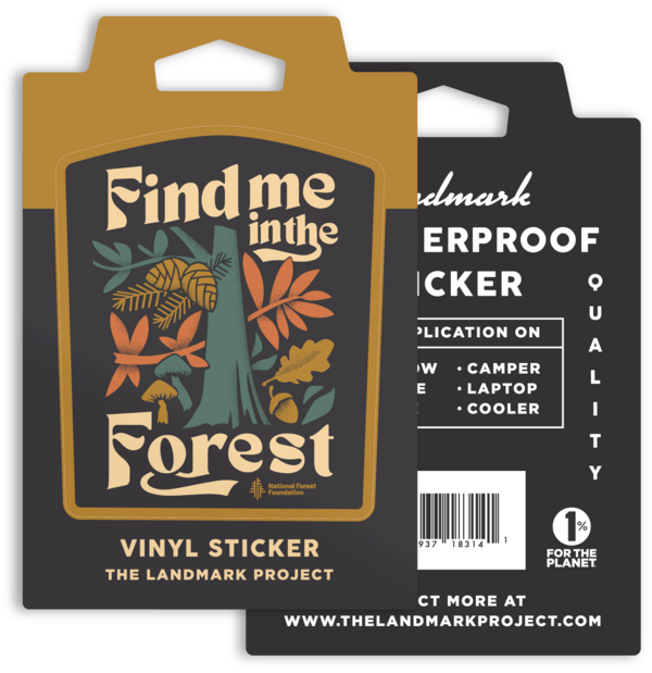 Find Me in the Forest Sticker – The Landmark Project