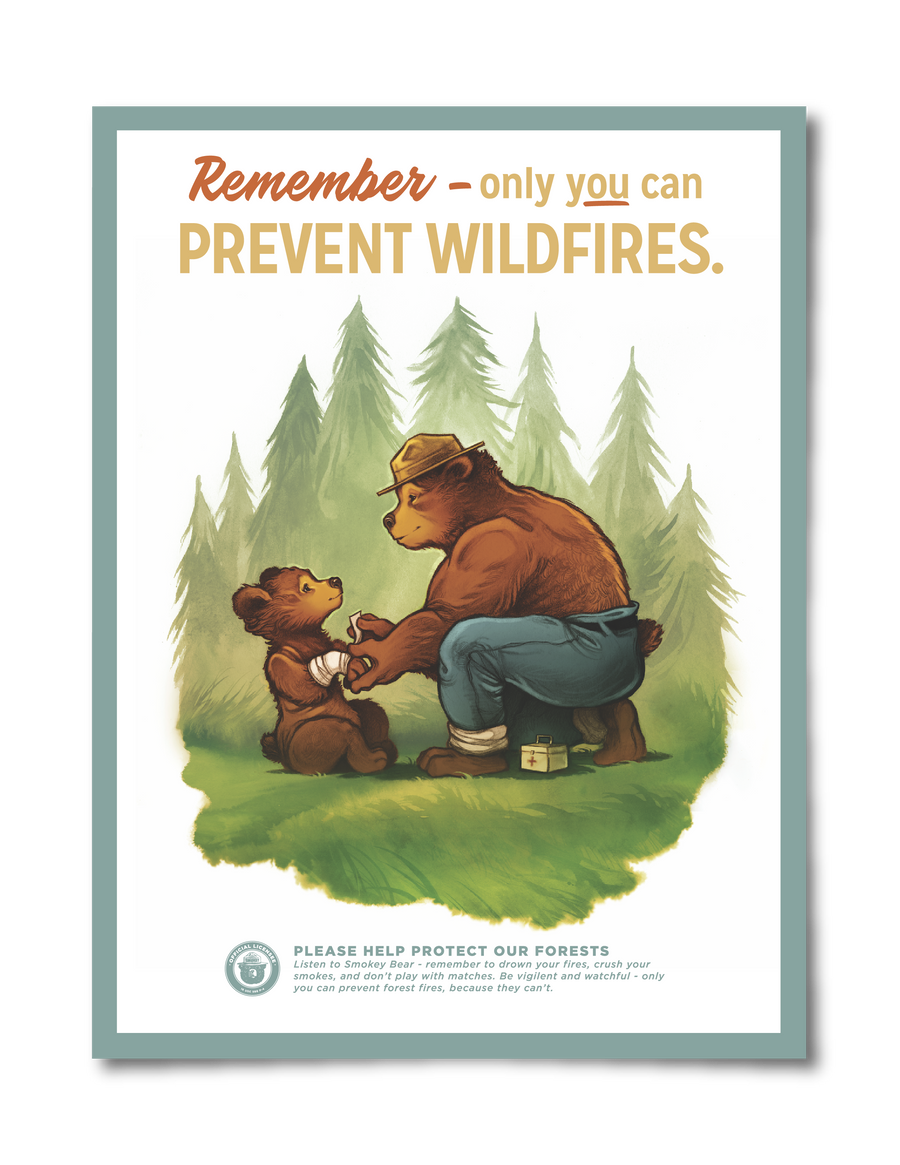 Prevent Wildfires Poster – The Landmark Project